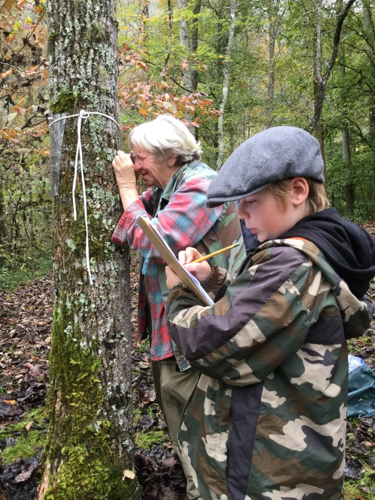 Learning with lichens – Land, Air & Water