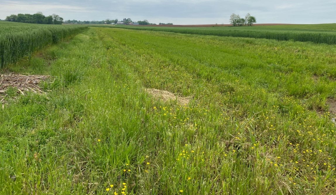 Local farmers make simple improvements with far-reaching impacts – Land ...