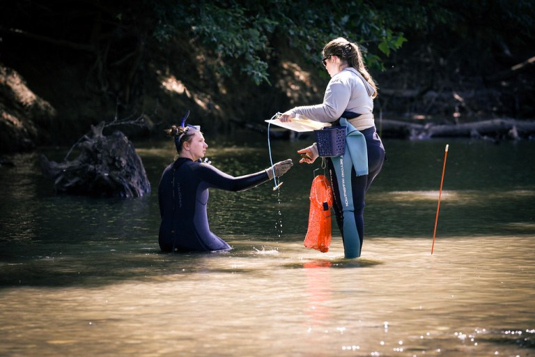 OKNP Partners Up to Survey Kentucky’s Streams for Mussels – Land, Air ...